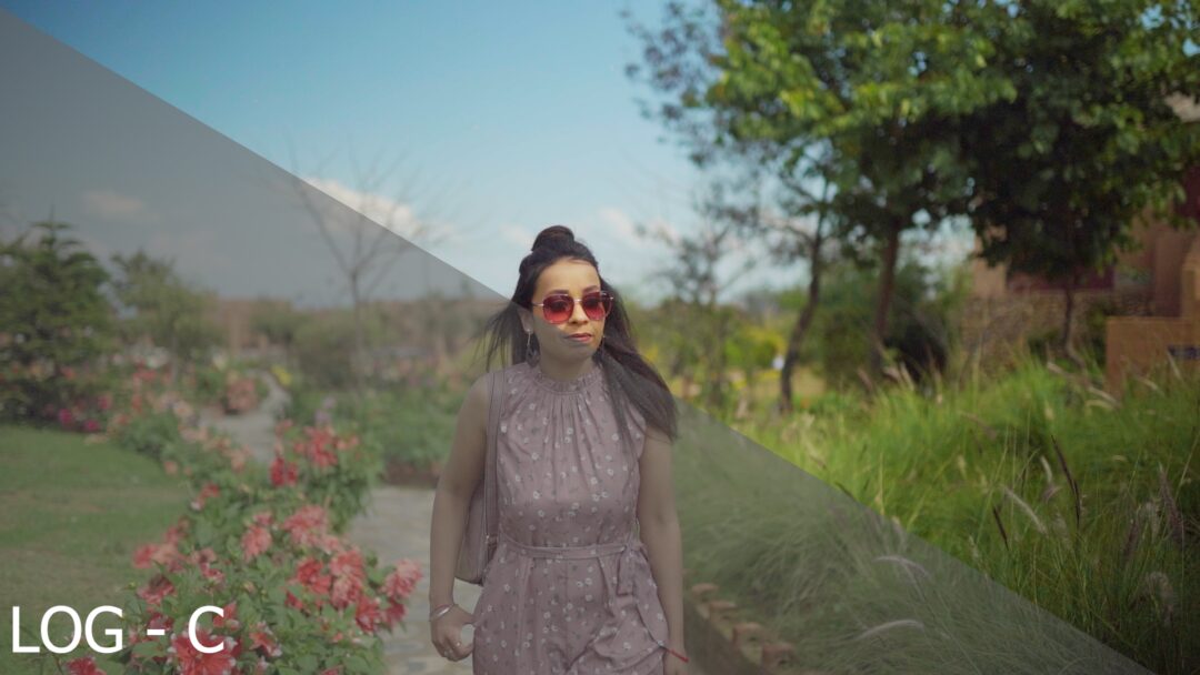 C-LOG Profile Canon All Camera Download – Get Unlimited LUTs – Effects ...